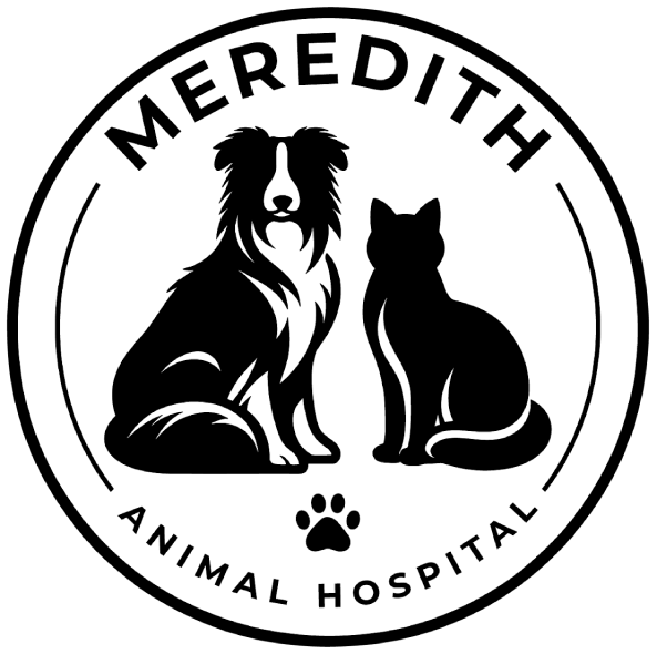 Your Community Animal Hospital - Meredith Animal Hospital