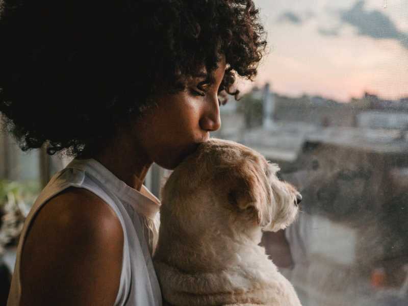 The Art of Connection – Meredith Animal Hospital